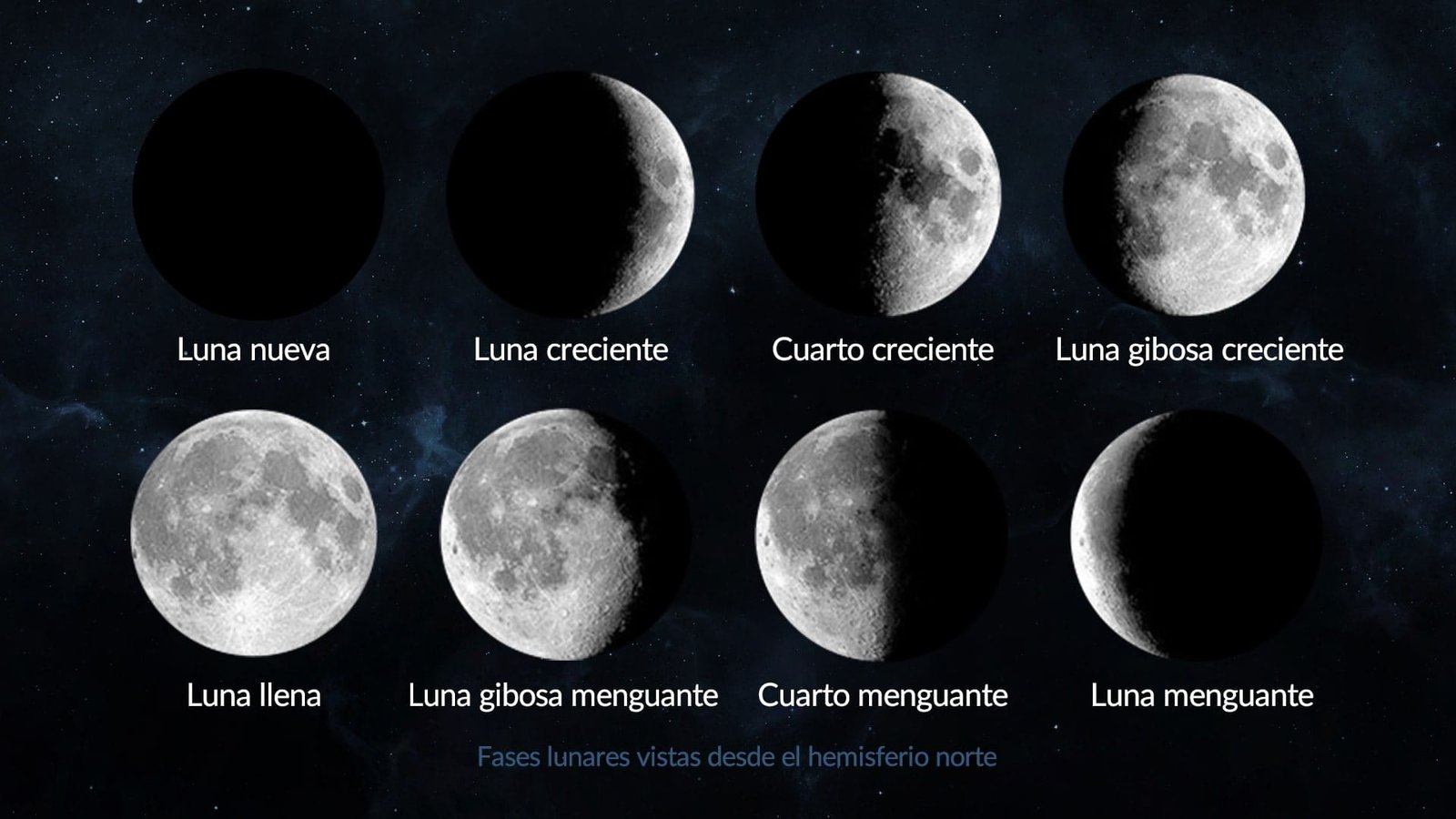 En Qué Luna Del Calendario Astrológico Nacen Los Bebés